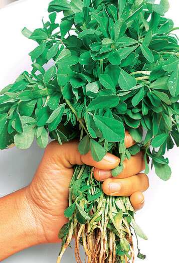 Food you can relish in winters | Hindustan Times