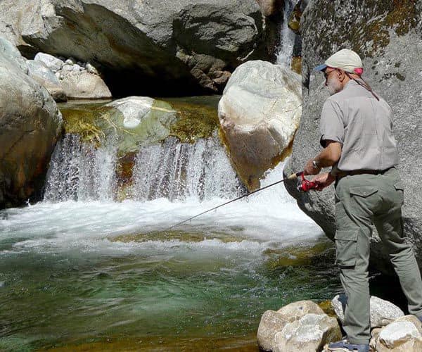 In Heaven's wake | Hindustan Times