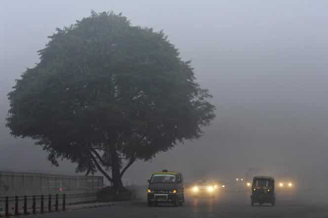 In pics: Fog engulfs north India, disrupts normal life | India News