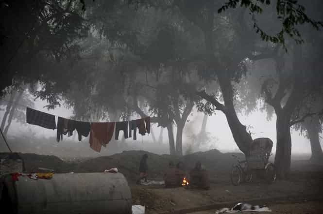 In pics: Fog engulfs north India, disrupts normal life | India News