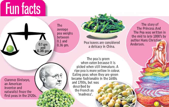 Fun facts: why you must be friends with green peas | Health