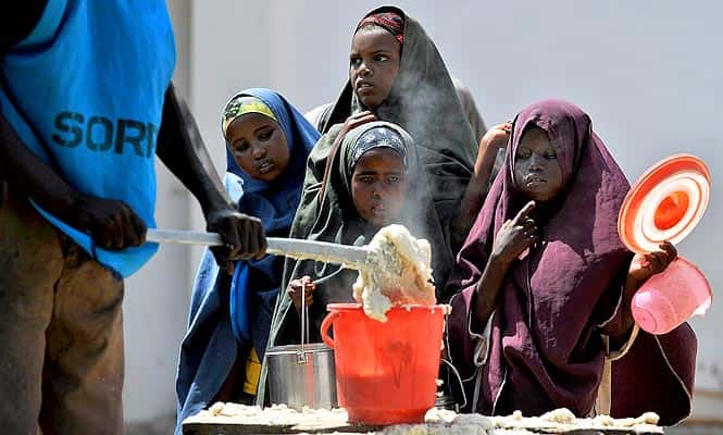 100 million people saved from hunger over last decade: UN | World News