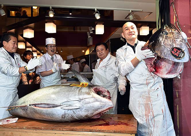 Bluefin tuna sold for $37,000 in Tokyo new year auction | World News