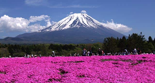 In pics: It's finally feeling like spring around the world | Travel