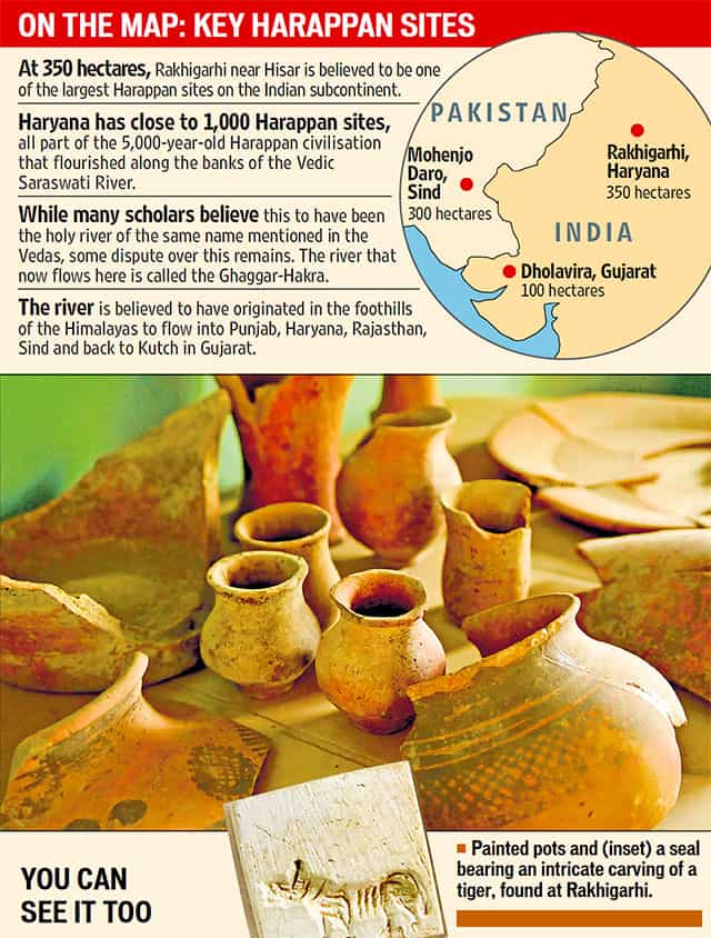 What did Harappans eat, how did they look? Haryana has the answers ...