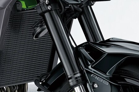 Kawasaki Z900 Price, Mileage, Images, Colours, Reviews & Specs