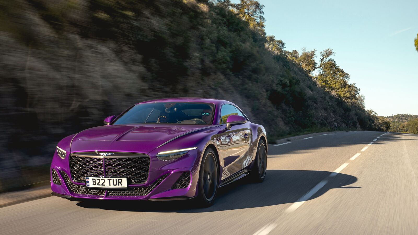 This purple Bentley looks real regal | HT Auto