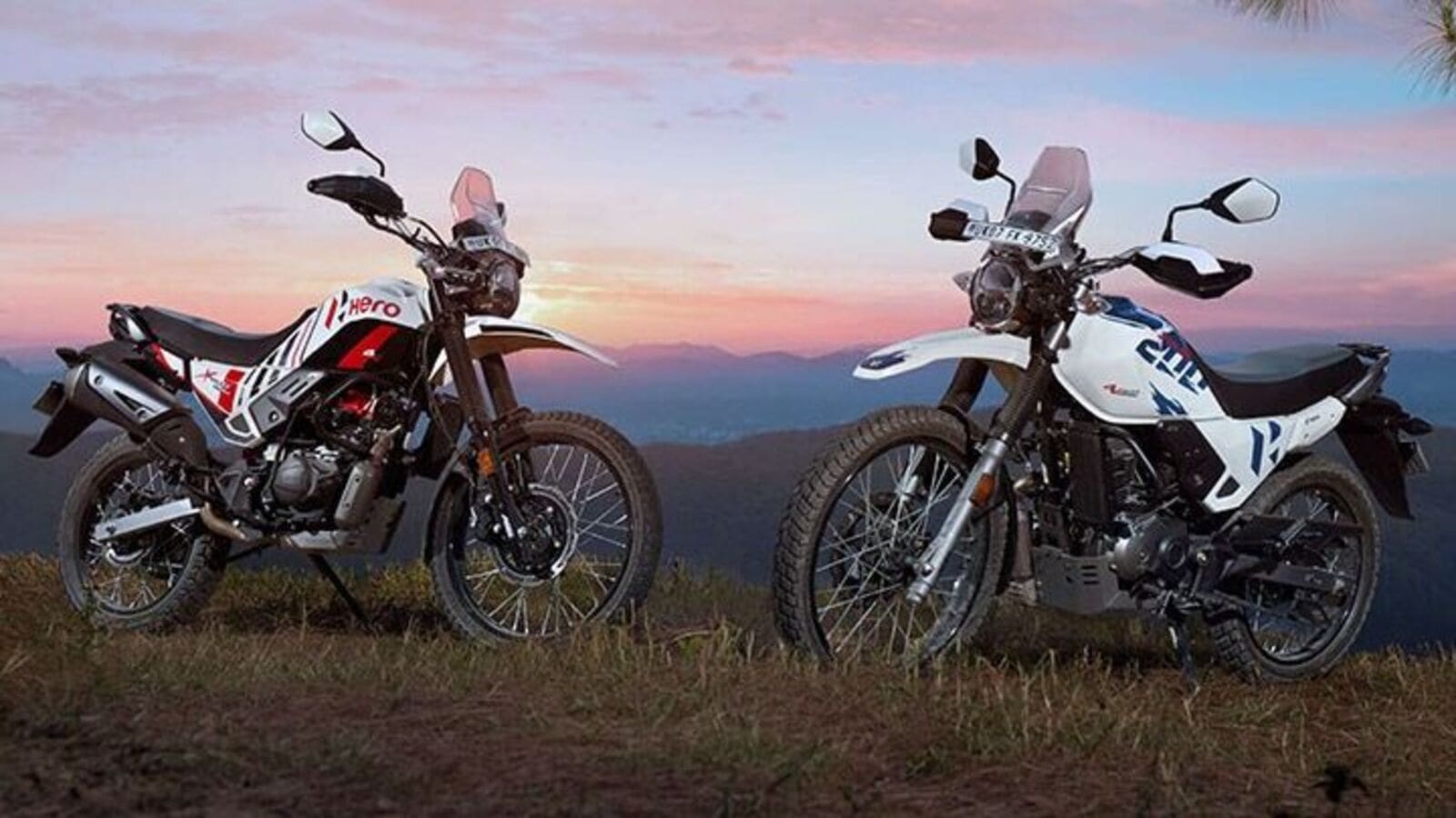 Hero XPulse 200 4V now gets a Pro version, to rival Royal Enfield ...