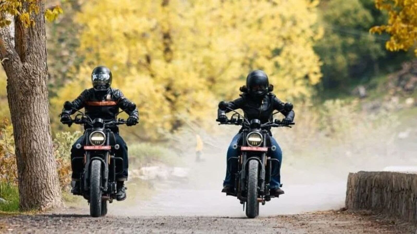 Harley-Davidson Nightster 440 is the next big bike coming to India | HT ...