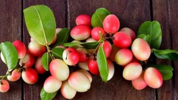 Health Benefits of Karamcha: এই ফলটা সম্পর্কে জানা আছে? এটি খেলে বহু ...