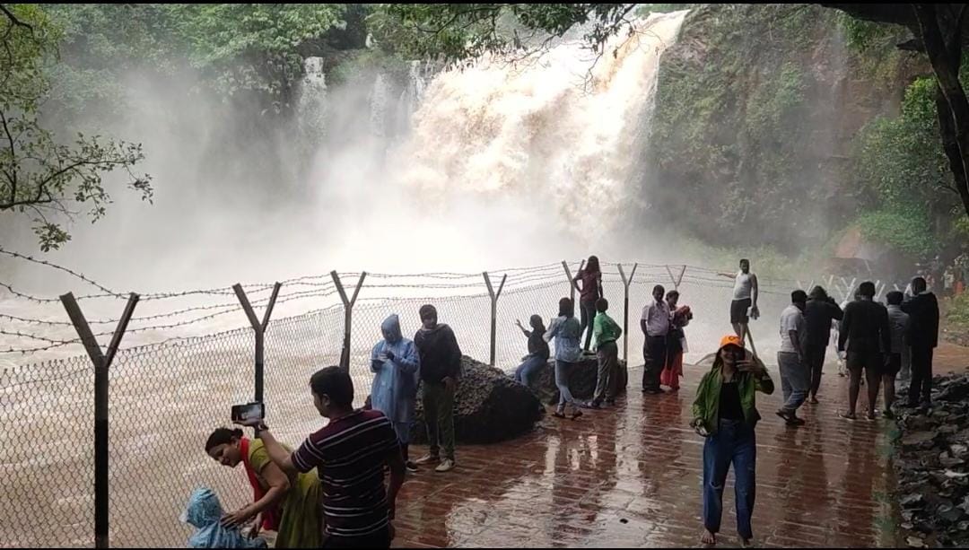विहंगम : पावसामुळे खुलले निसर्ग सौंदर्य; राज्यातील हे प्रसिद्ध धबधबे ...