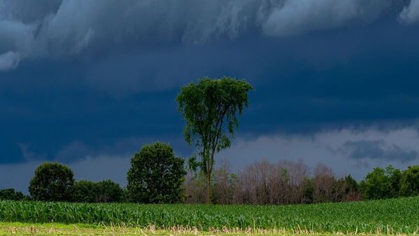 Deep Depression Rain in Bengal: গভীর নিম্নচাপের জেরে জেলায় জেলায় জারি ...