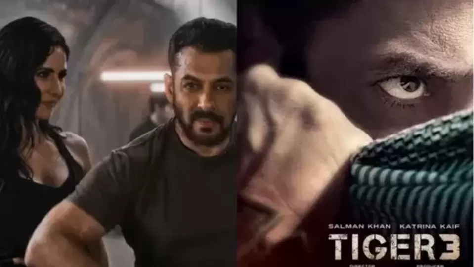 Tiger 3: सलमान खानच्या 'टायगर 3' चित्रपटात दिसणार छोट्या पडद्यावरील ‘ही ...