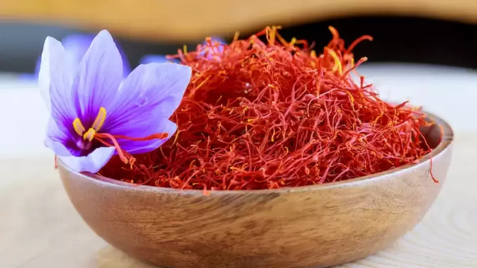 Real Kesar: केशर खरं आहे की खोटं हे कसे ओळखावे? जाणून घ्या सोप्या ट्रिक