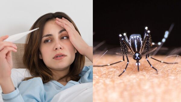 Dengue Symptoms: জ্বর হয়েছে, তাহলে কি ডেঙ্গি হল? তালিকা মিলিয়ে দেখে ...