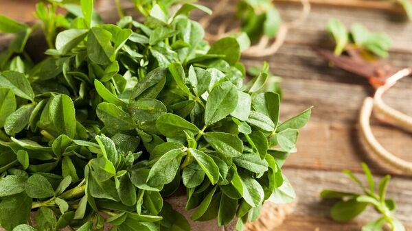 Methi Shak for Weight Loss: শীতে ওজন কমানো নিয়ে চিন্তা? মেথি শাকের ...