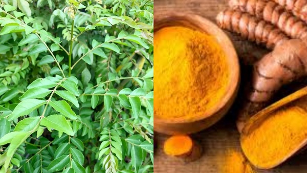 Bangla Naboborsho Ritual: পয়লা বৈশাখে আজও বহু বাড়িতে নিম হলুদ মেখে স্নানের রীতি! এতে শরীরের কী ...