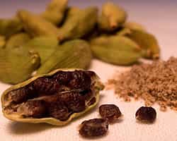 Cardamom may be good for you | Health