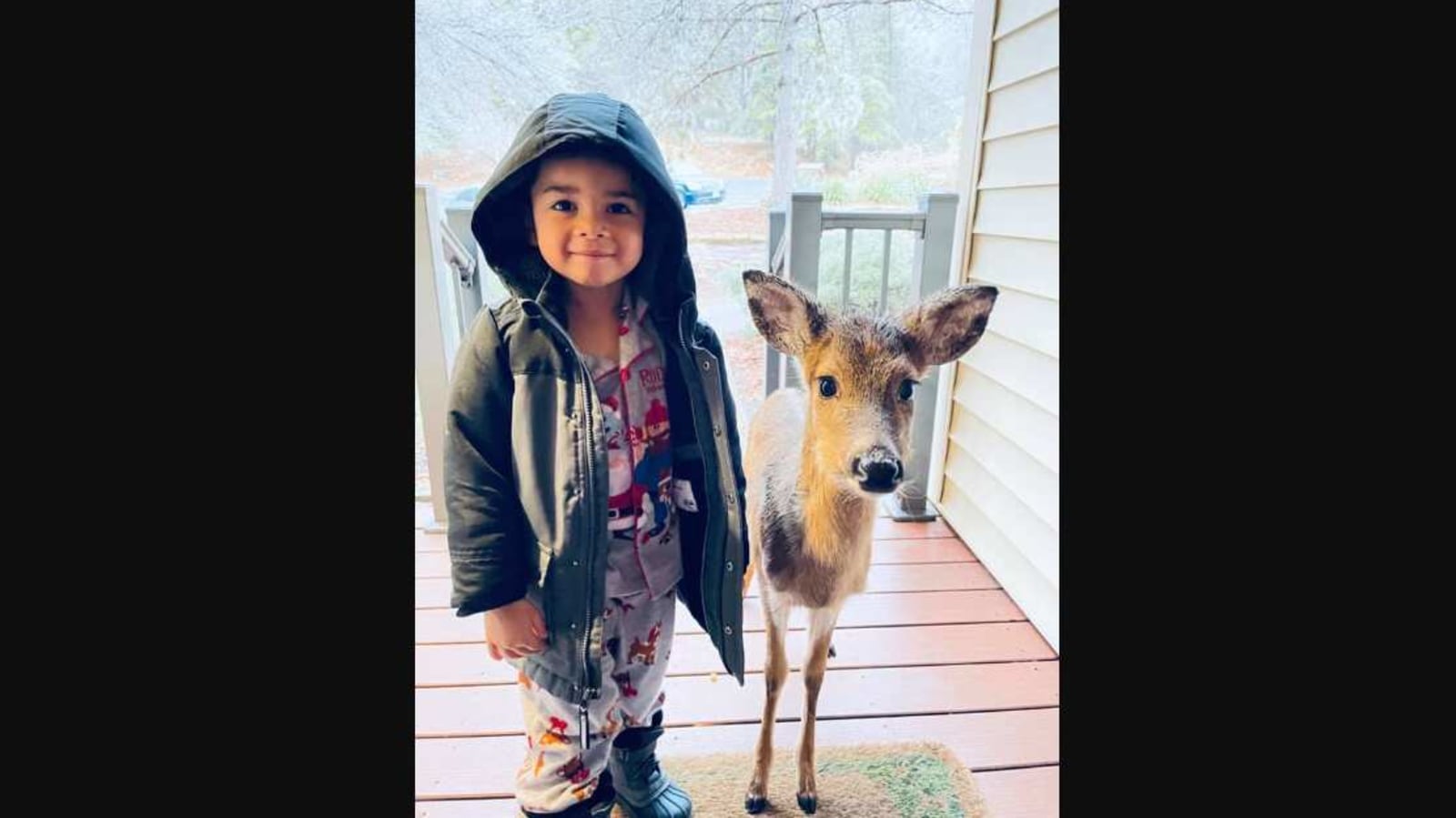 Boy befriends a baby deer while playing outside. Their adorable pic ...