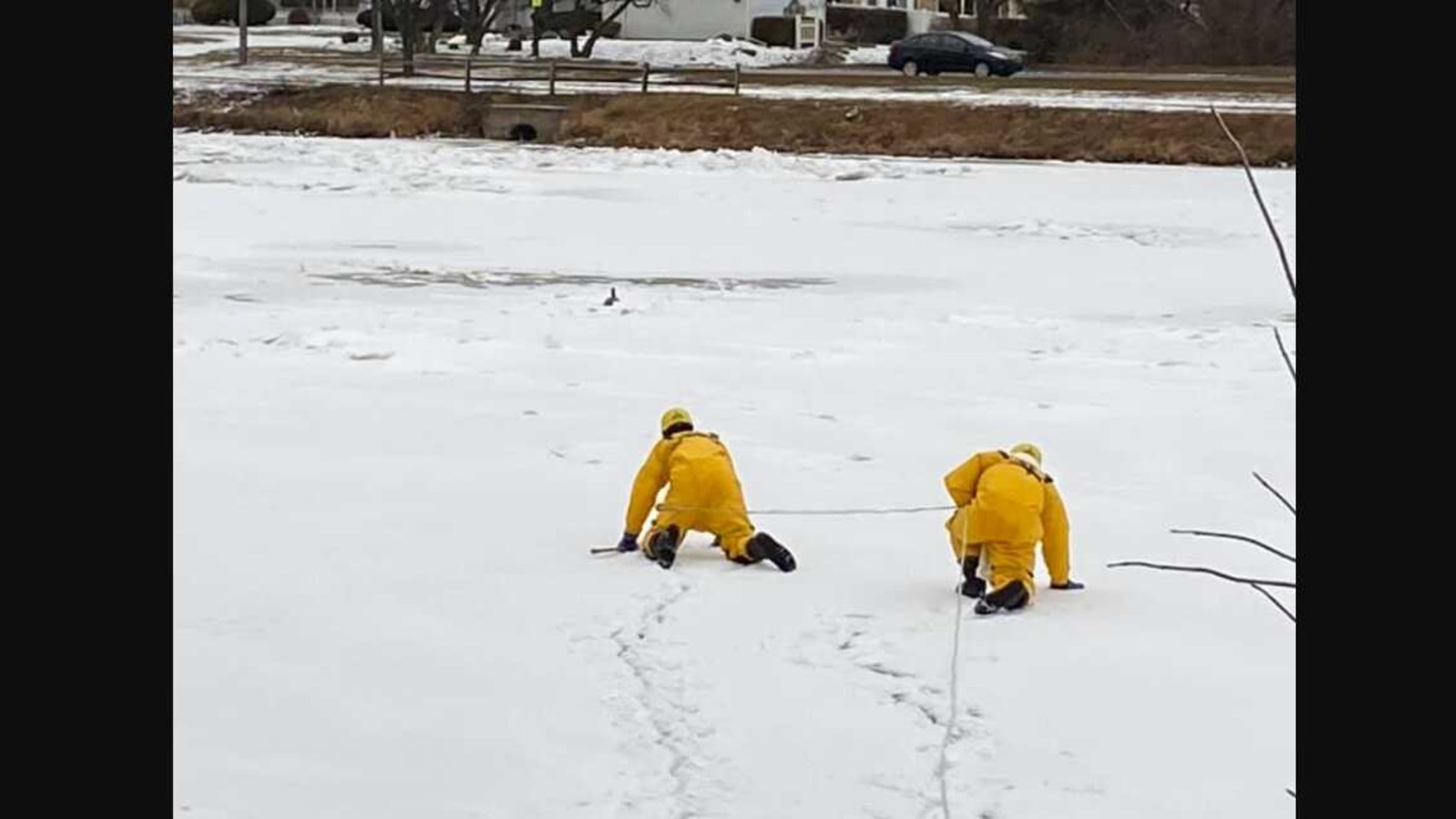Firefighters brave ice to rescue ‘goose’ stuck for 2 days. Turns out to ...