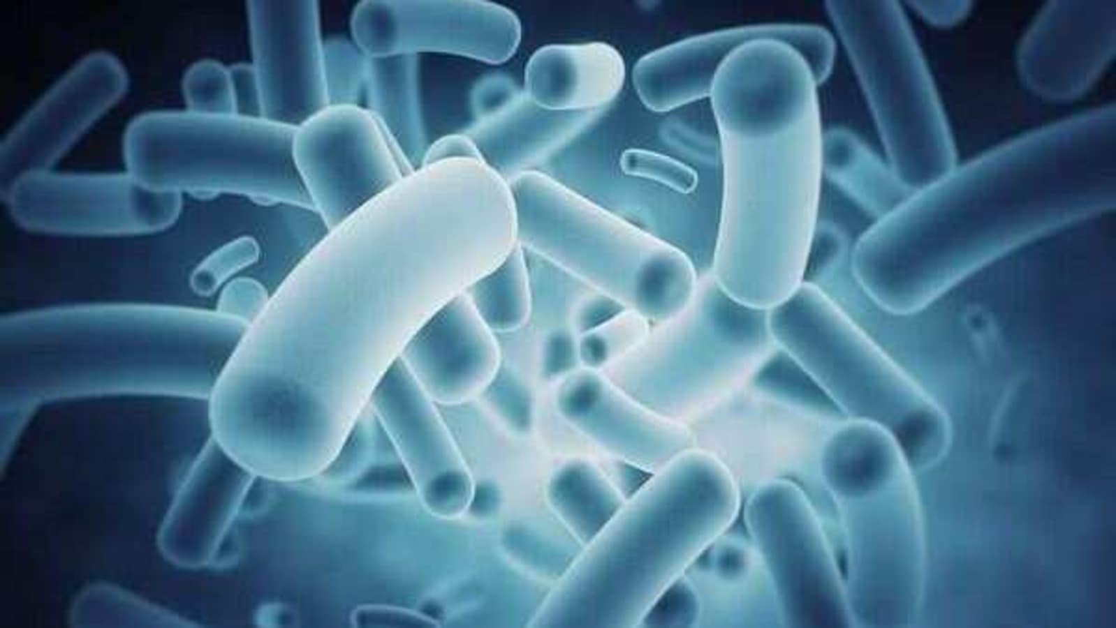 Some bacteria grow resilient to antibiotics by changing shapes: Study ...