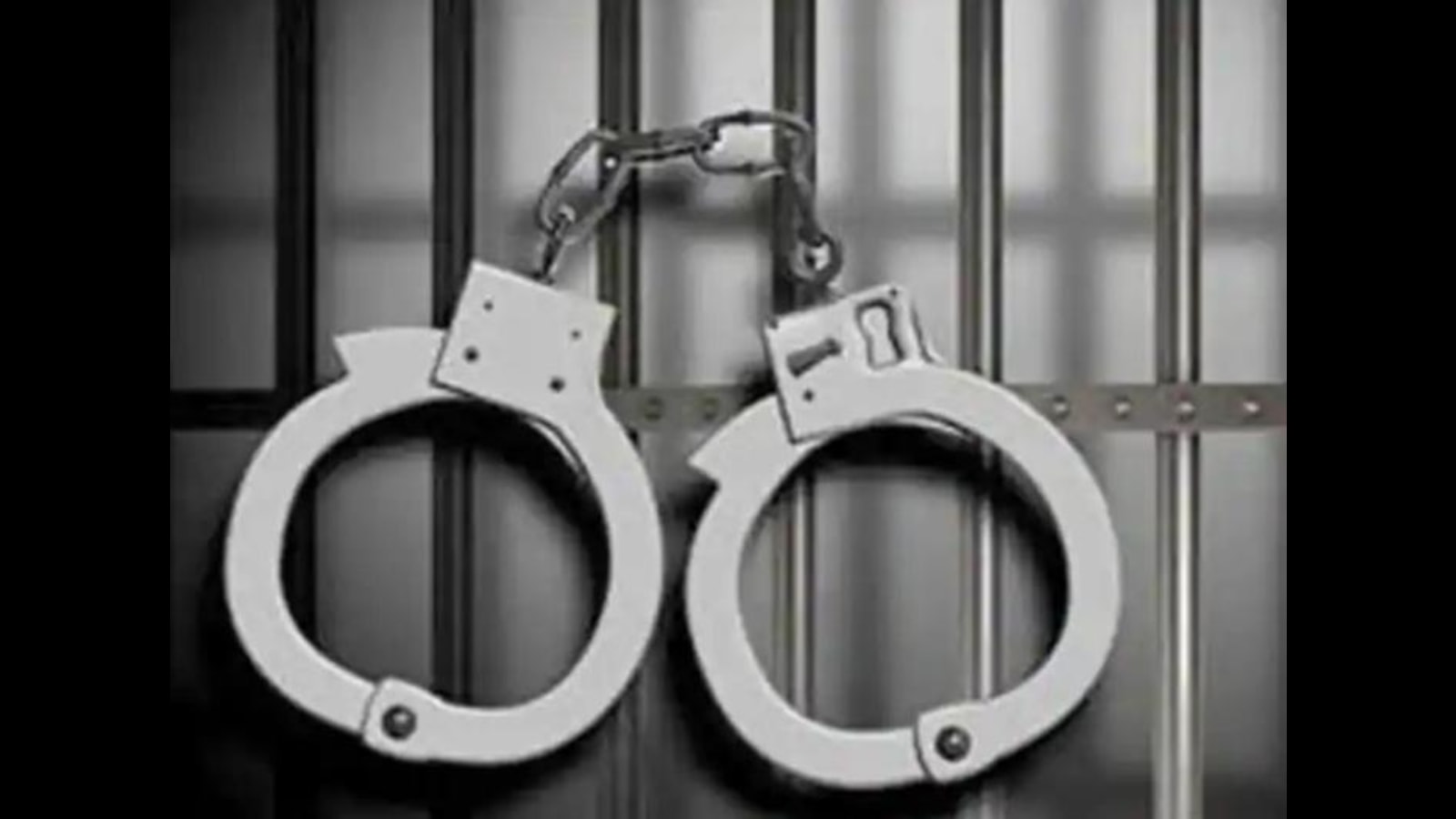 Haryana ex-MLA Relu Ram Punia’s son-in-law held in Meerut two years ...