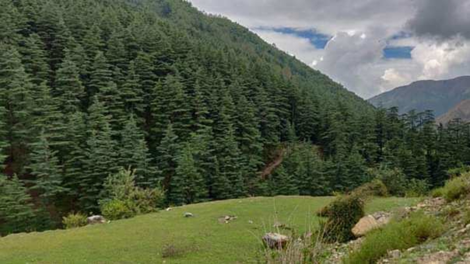 Devalsari likely to become Uttarakhand’s first biodiversity heritage ...