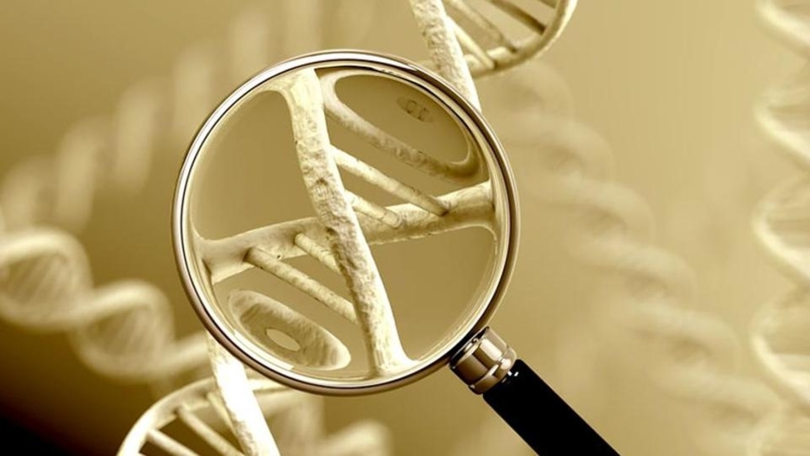 Address fears over DNA technology bill in Parliament and outside: Panel ...