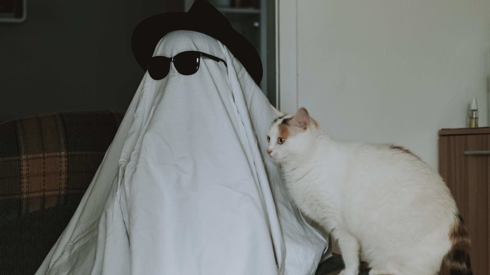 Redditor asks what one would do after getting the power of invisibility ...