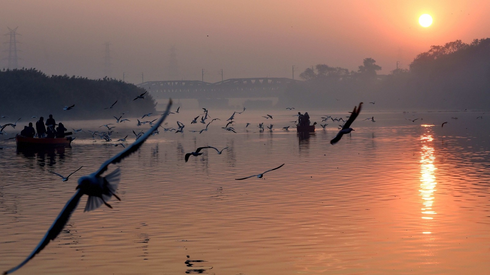 Govt says lockdown led to improvement in river Yamuna's water quality ...