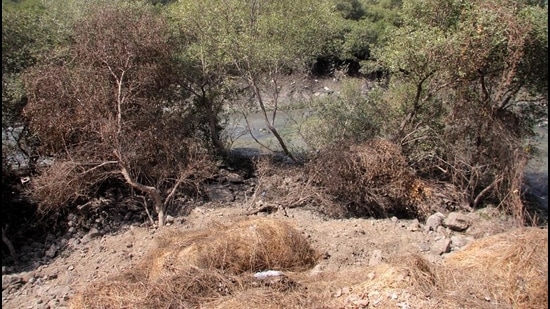 Mumbai: Mangrove cell to act against debris dumping in Mahul following ...