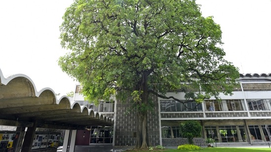 Photos: Delhi’s iconic trees in the wake of SC’s report on “valuation ...