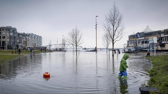 Snow melt, rain causing widespread flooding in Germany | World News