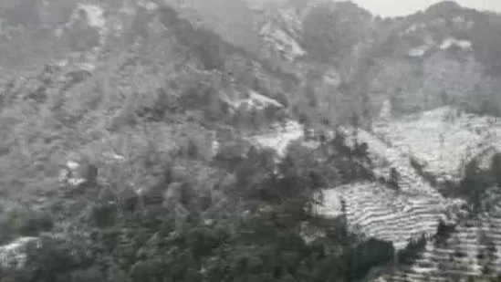 In Photos: Mussoorie witnesses pristine snowfall | Photos