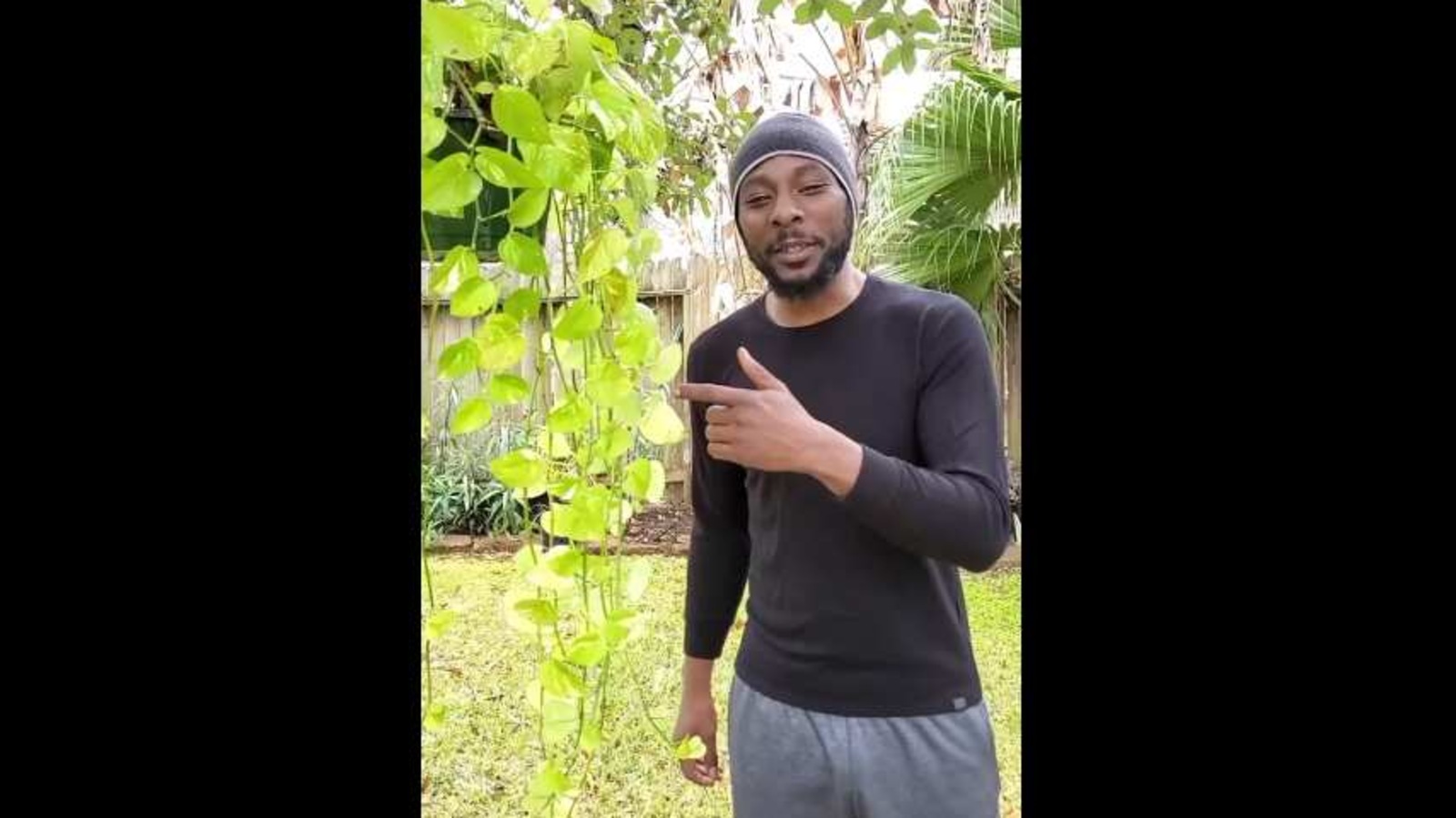 Man shares life lessons that people can learn from plants. Watch ...