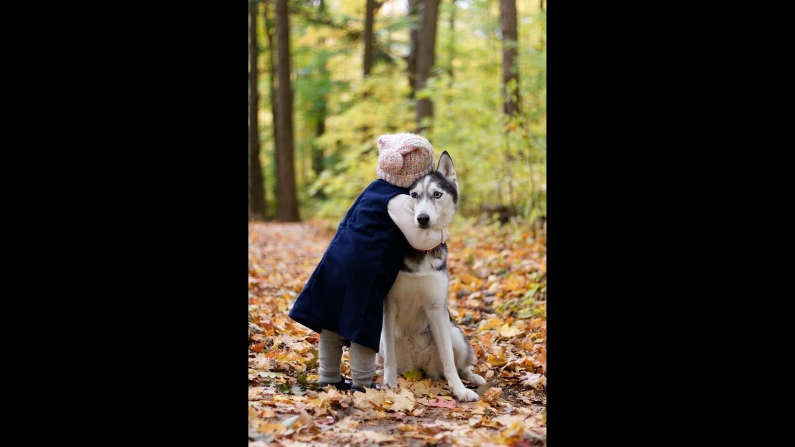 GIFs to emotional posts: Know how Twitter is celebrating Hug Day 2021 ...