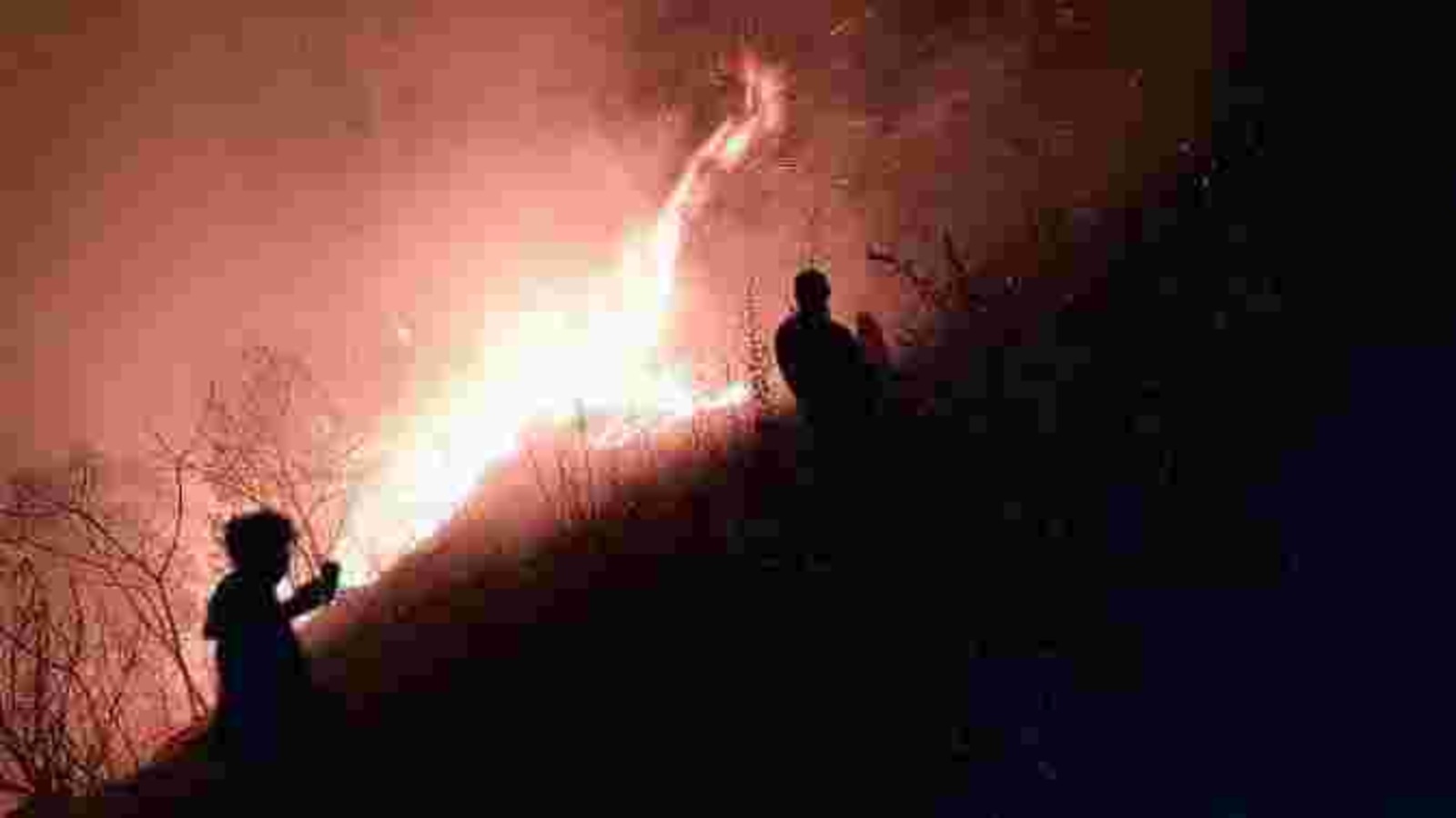 Army assists douse forest fire in Arunachal's Anini district | Latest ...