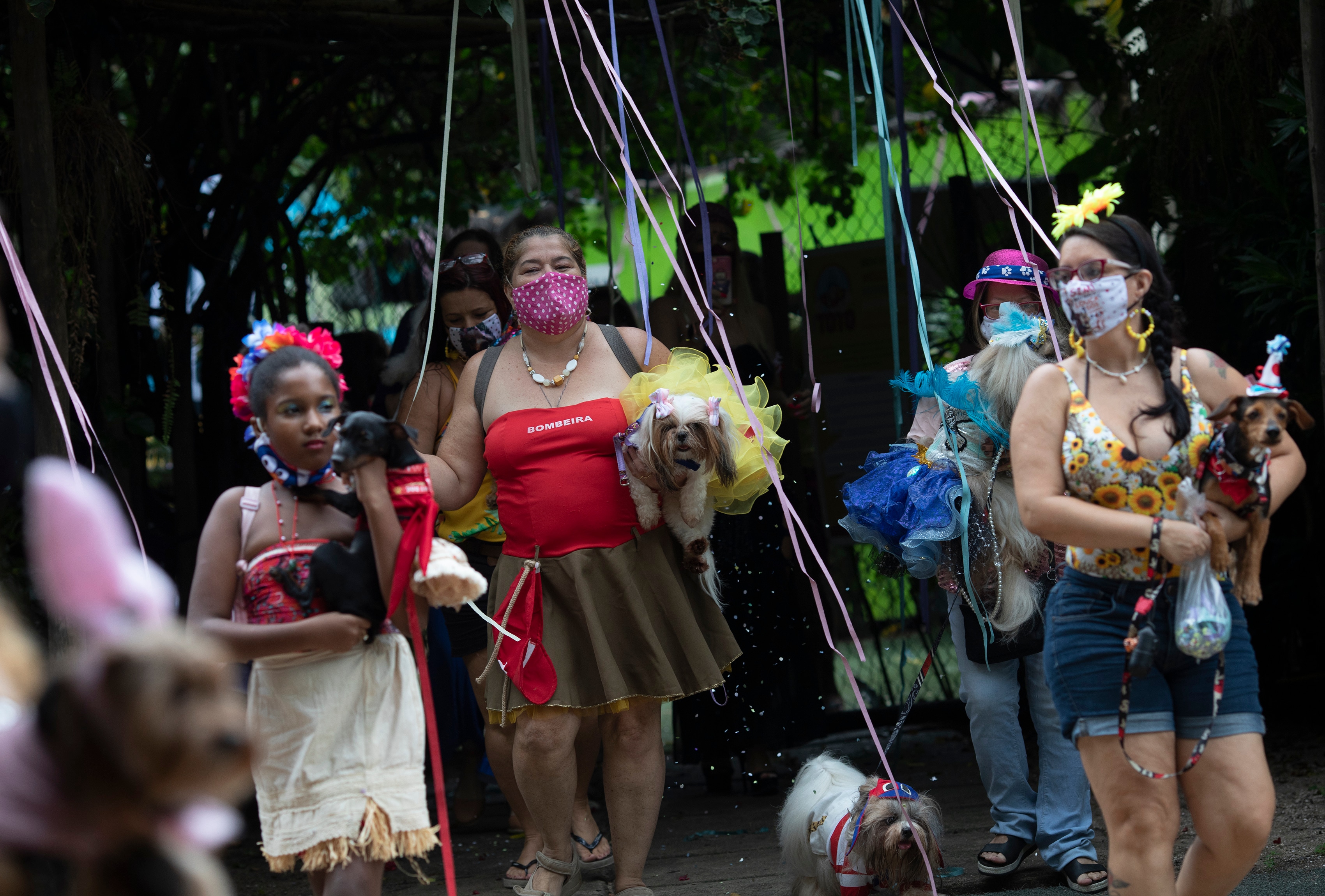 Pet lovers gather for annual dog carnival parade in Rio de Janeiro. See ...