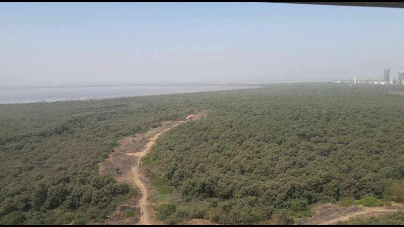 Maharashtra notifies 121 ha of mangrove area in Palghar as forest land ...