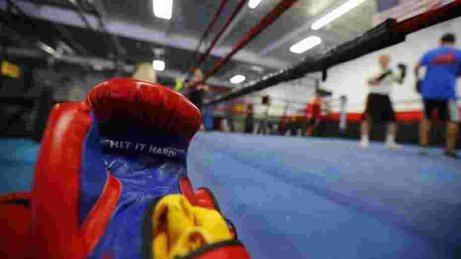 Indians win two gold medals at Montenegro boxing tourney | Hindustan Times