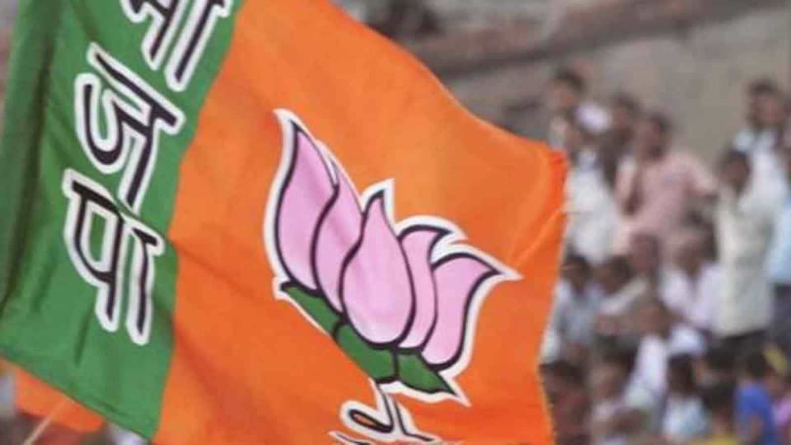 Goa: BJP relieves state spokesperson as dissension deepens in Panaji ...