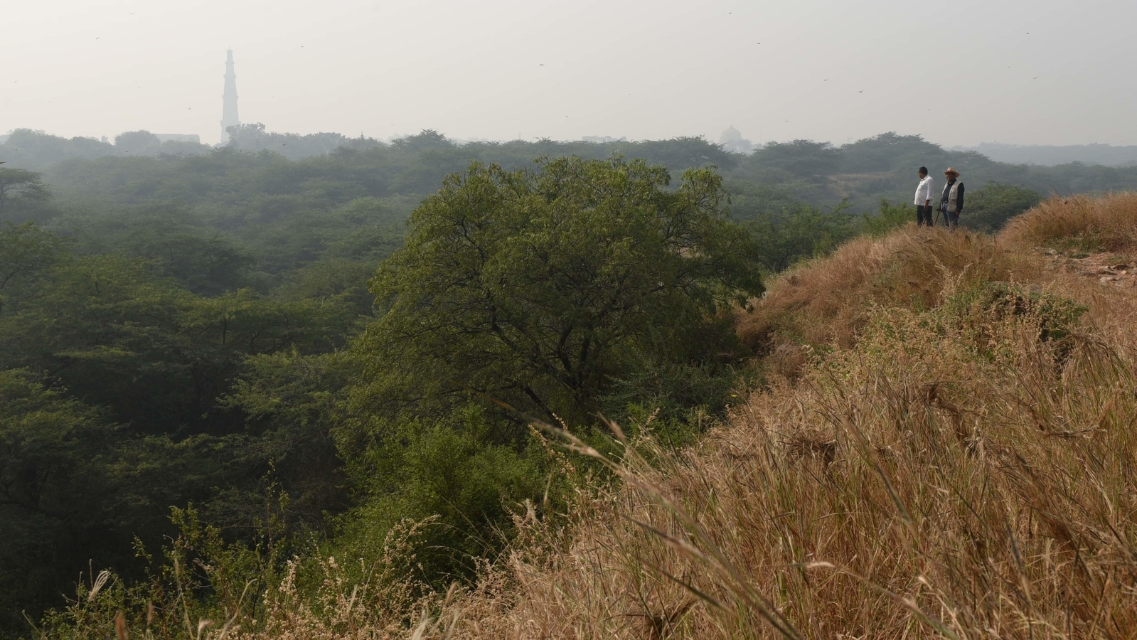 Animal-friendly Ridge with no barbed fences | Latest News Delhi
