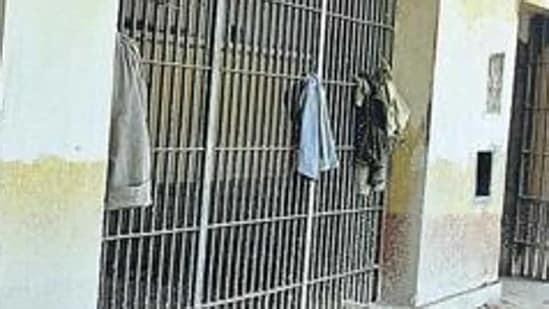 Mobile phone found inside terror convicts' cell at Tihar Jail; probe ...
