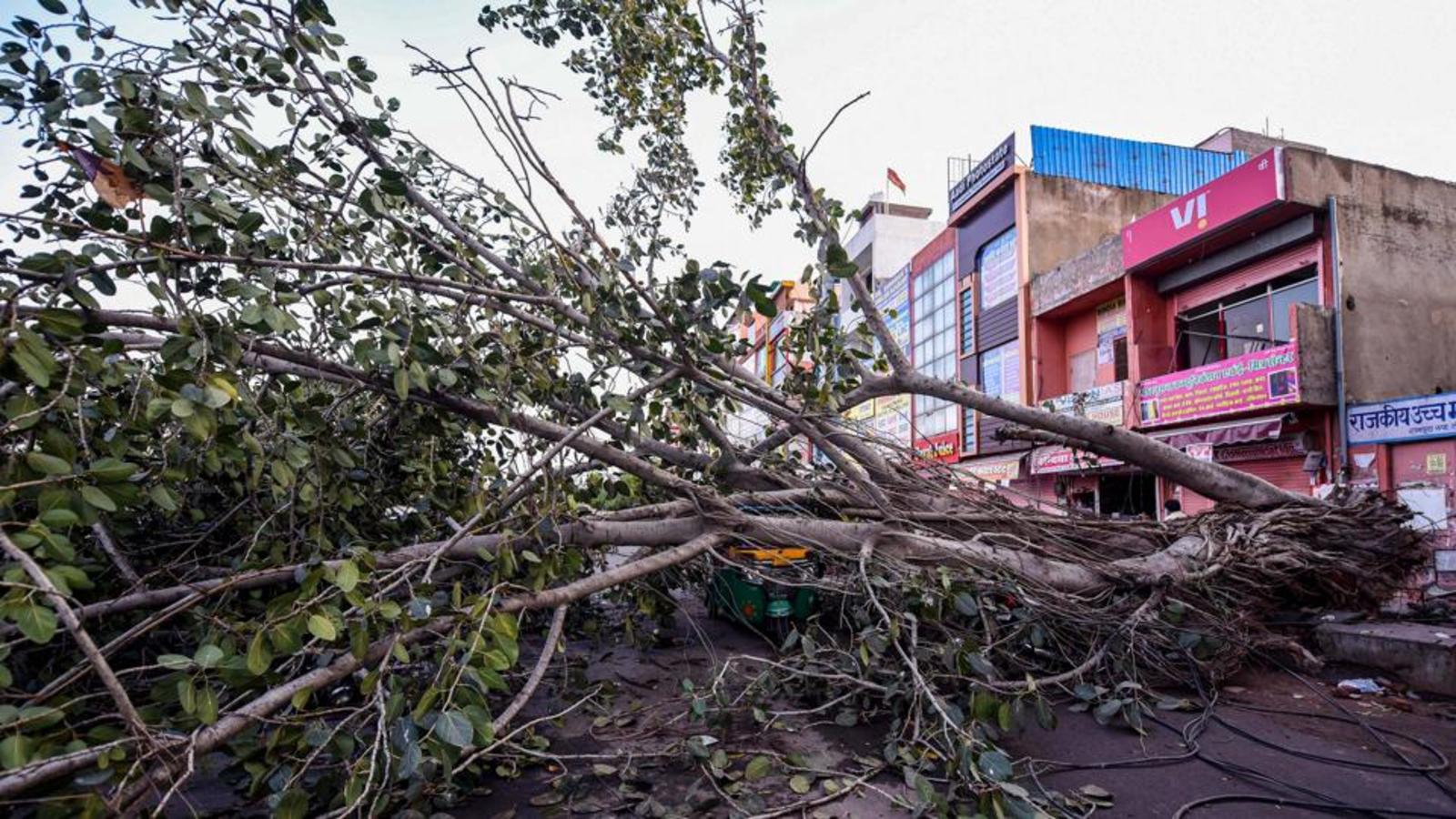 Rain, thunderstorm likely over central India today, says IMD | India News