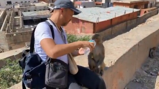 Man helps monkeys drink water from bottle. Watch | Trending
