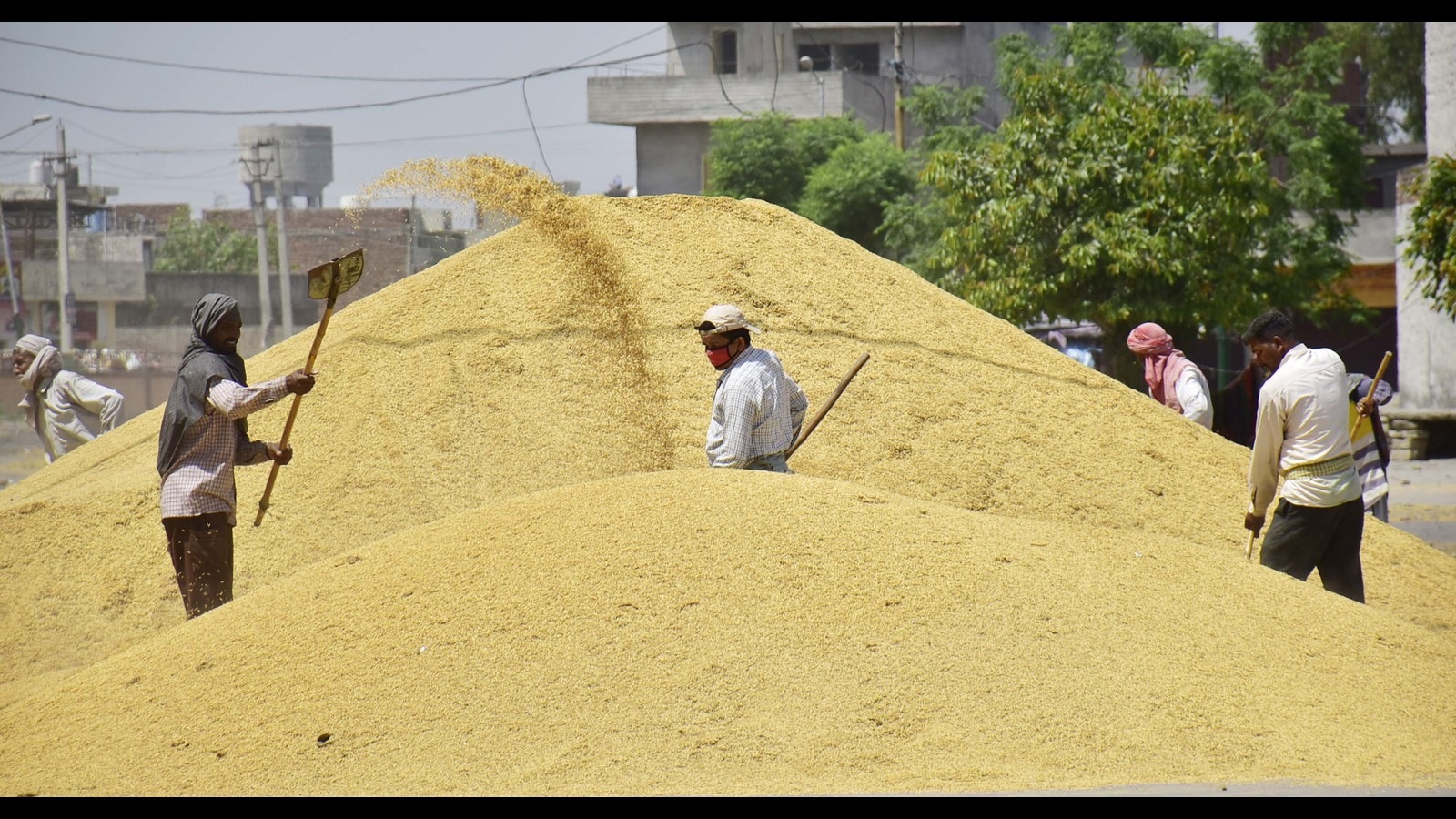 Procurement picks up pace in Doaba amid snags | Hindustan Times