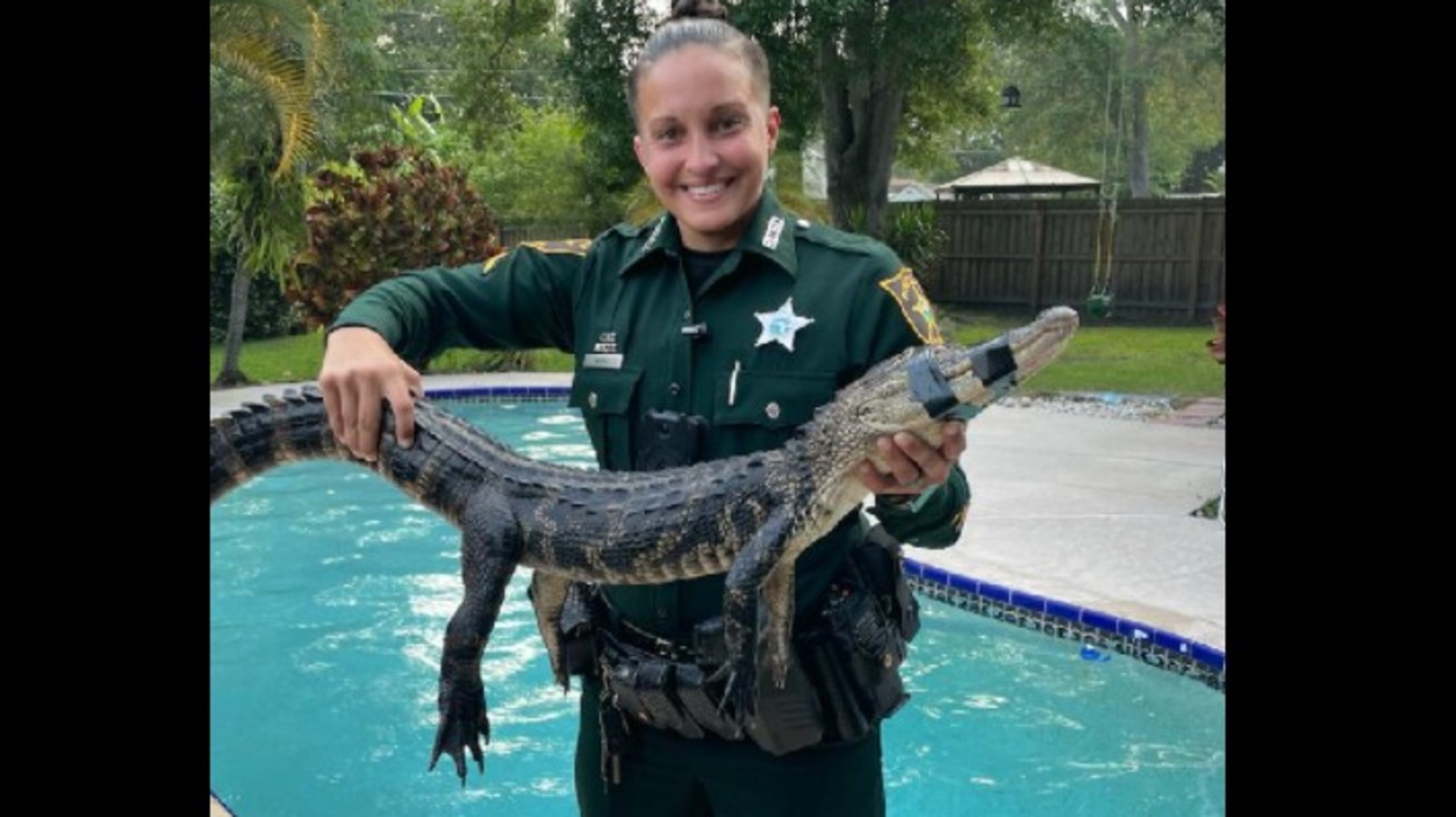 Woman cop rescues trespassing alligator from backyard pool in Florida ...