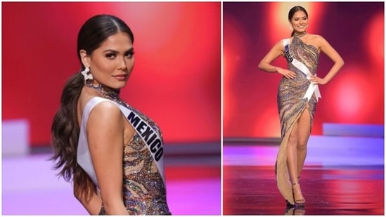 Miss Universe 2020 Andrea Meza's 7 best pictures from her pageant ...