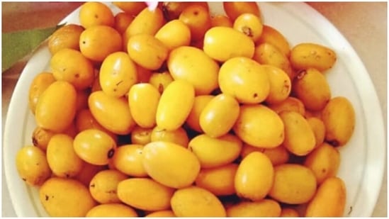 Rare Indian fruits you didn't know had health benefits | Hindustan Times
