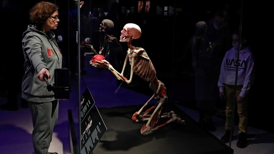 PHOTOS: Preserved corpses, human organs at German anatomist Doctor ...